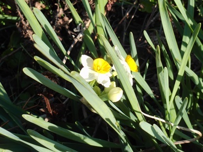 何とか: 夕空晴れて